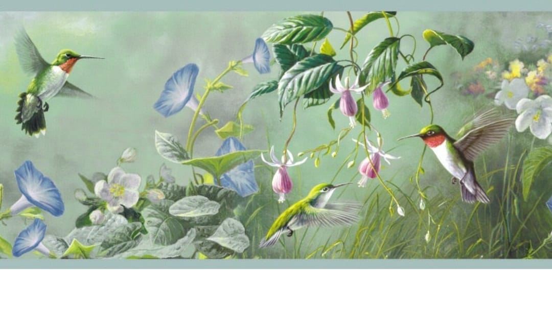 Ruby Hummingbird Wallpaper Border Htm48531b / 3118-48531b - Etsy