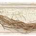 Grapevine Twig Wallpaper Border Ac4348bd - Etsy