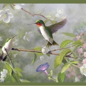 Hummingbirds Wallpaper Border Htm48532b - Etsy