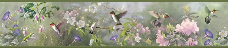 Hummingbirds Wallpaper Border Htm48532b - Etsy