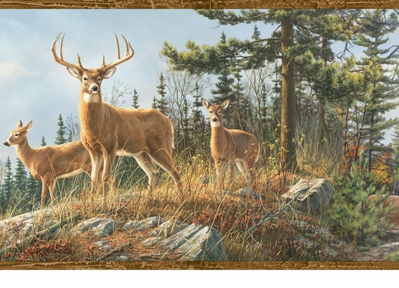 Whitetail Deer Wallpaper Border