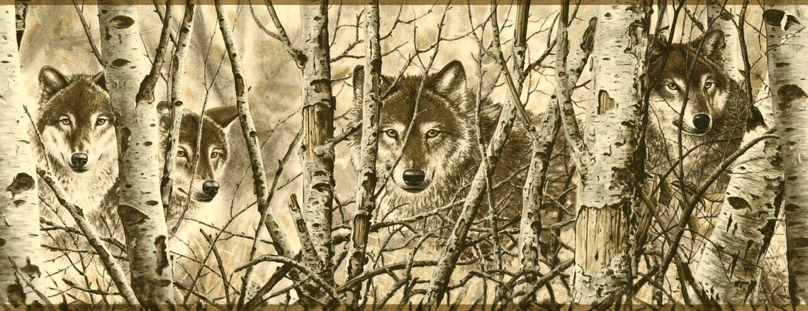 Wolves Peeking From Birch Trees Wallpaper Border Wd4170b - Etsy