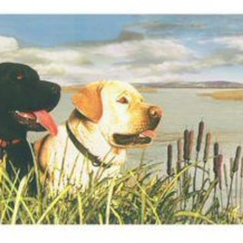 Wallpaper Borders for Dogs - Etsy