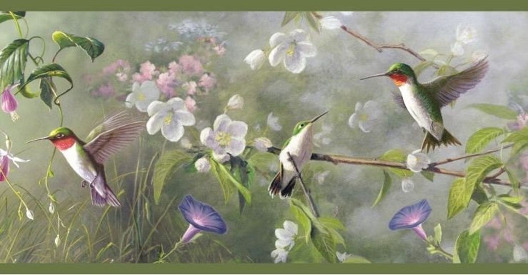 Hummingbirds Wallpaper Border Htm48532b - Etsy