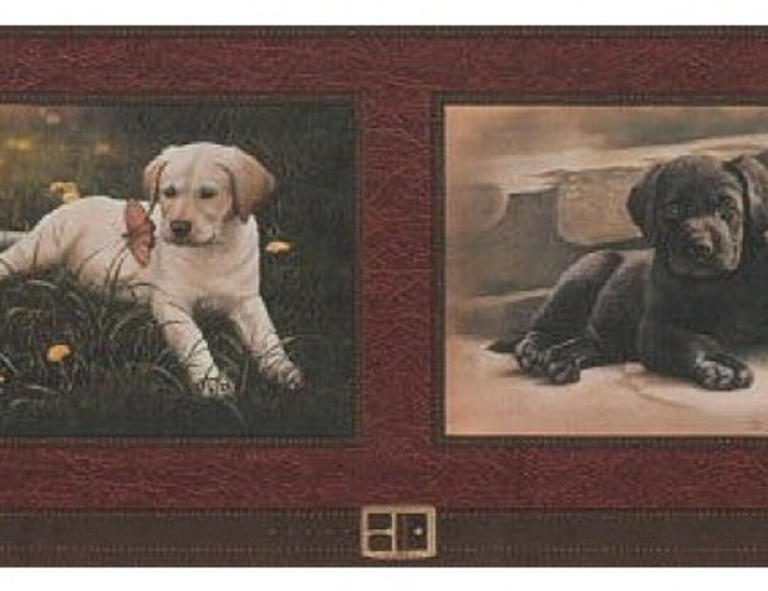 Lab Puppies Framed Wallpaper Border Gq156b - Etsy