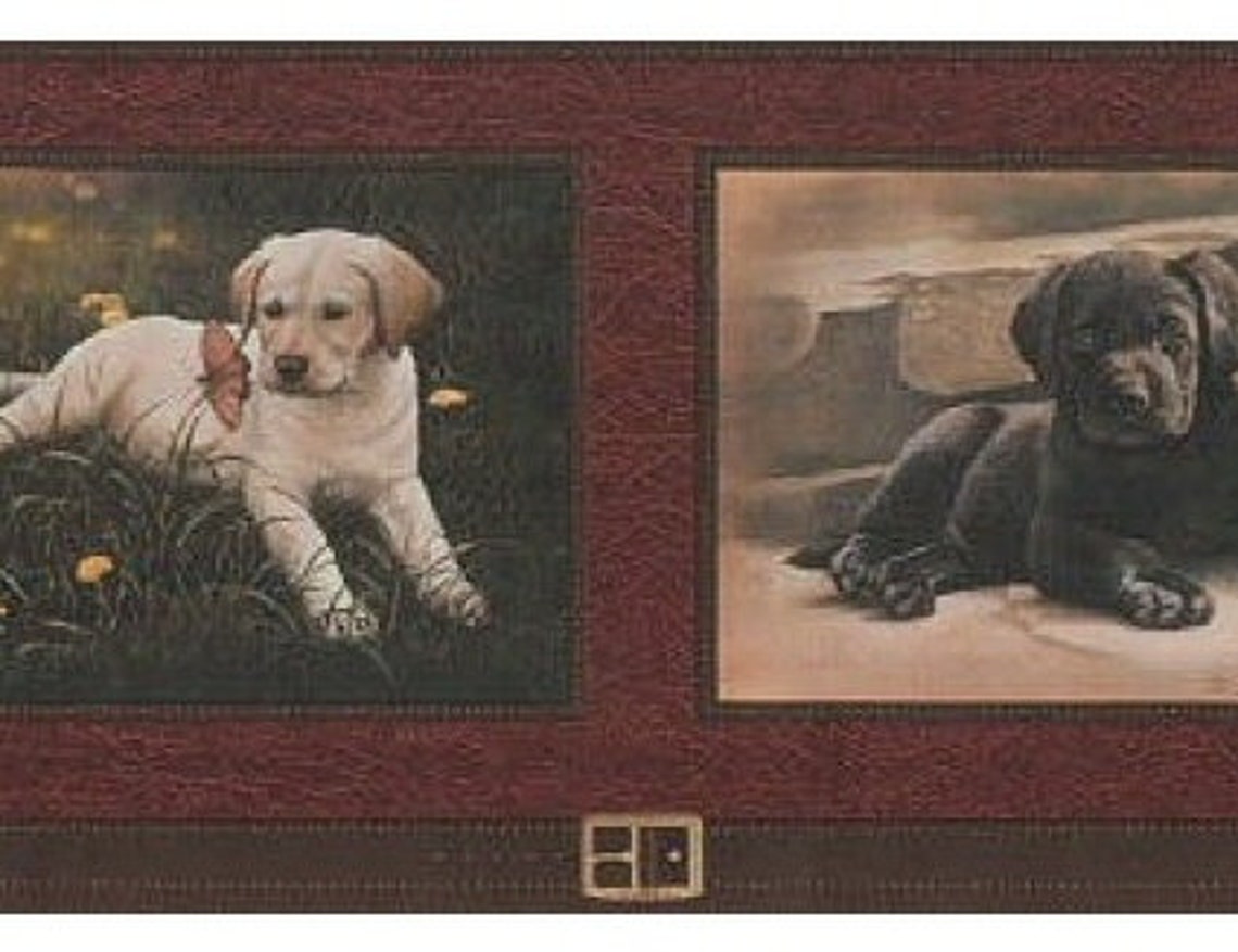 Lab Puppies Framed Wallpaper Border Gq156b - Etsy