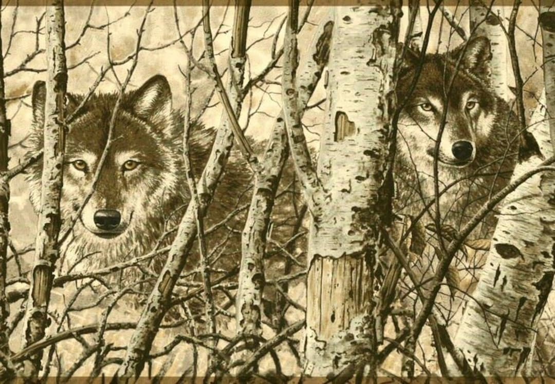 Wolves Peeking From Birch Trees Wallpaper Border Wd4170b - Etsy