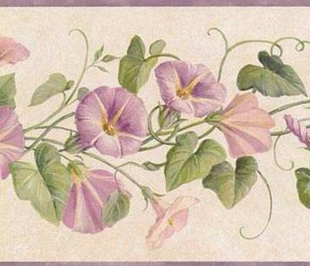 Morning Glory Wallpaper Border Dw30083b - Etsy