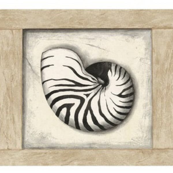 Seashell Wallpaper Border - Etsy