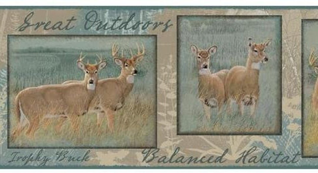 Framed Deer Nature's Plan Deer Wallpaper Border Gray/blue Bp8360bd - Etsy