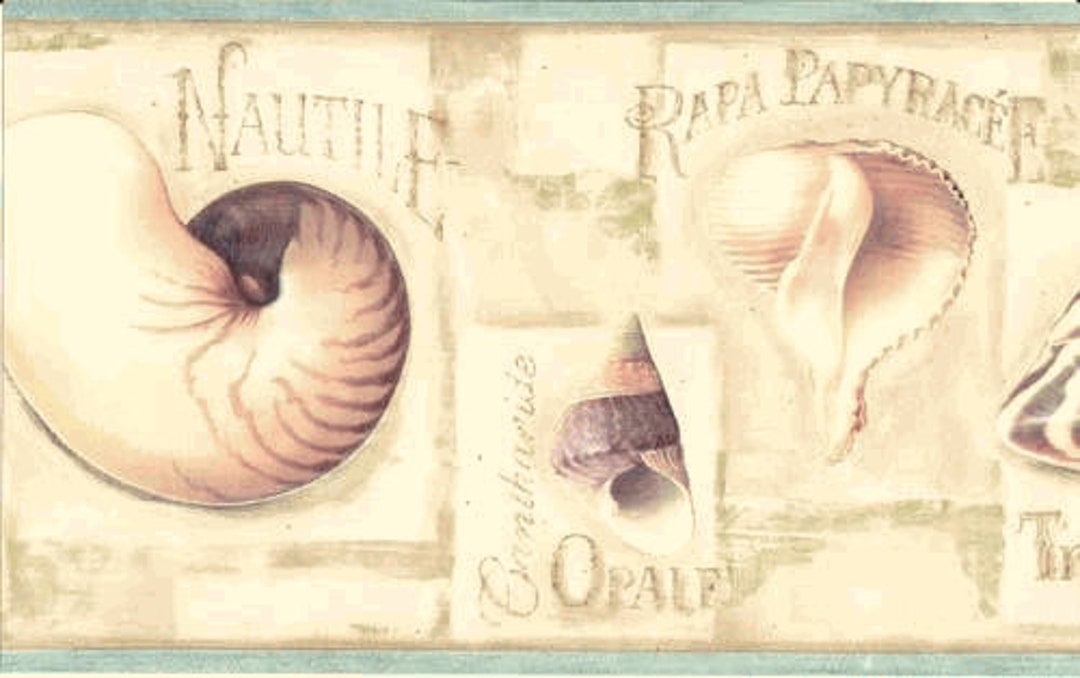 Seashells Wallpaper Border - Etsy