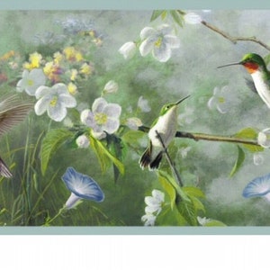 Ruby Hummingbird Wallpaper Border Htm48531b / 3118-48531b - Etsy