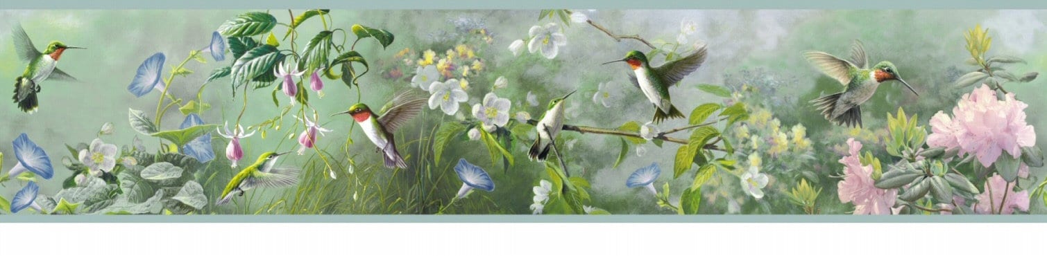 Ruby Hummingbird Wallpaper Border Htm48531b / 3118-48531b | Etsy