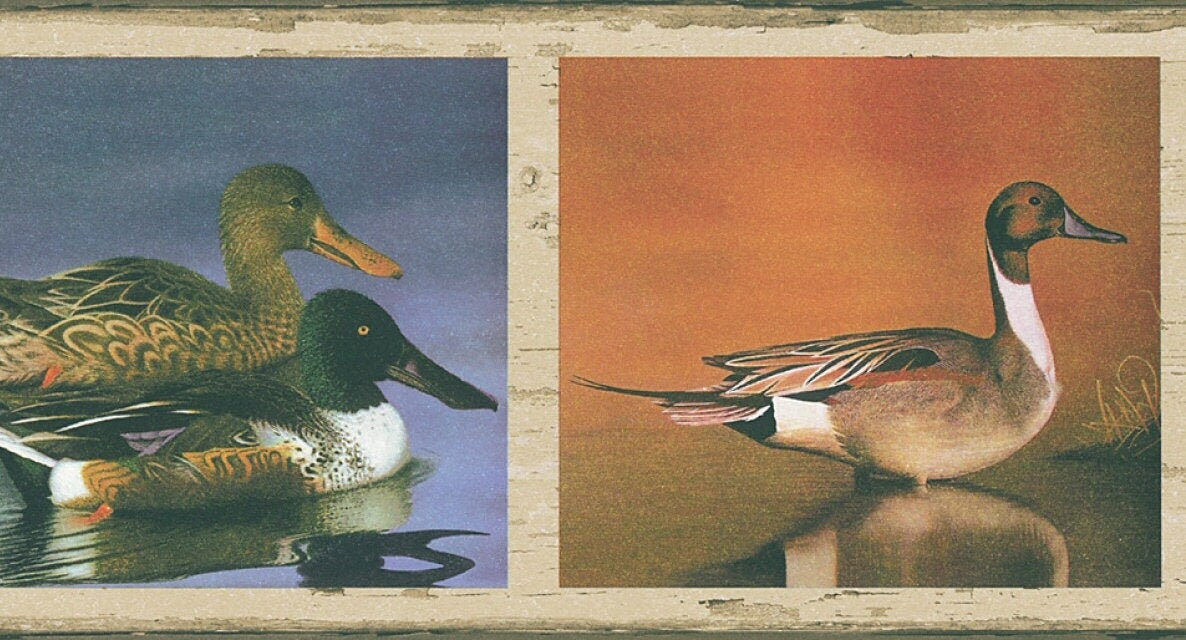 Baby Duck Wallpaper Border