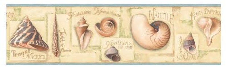 Seashells Wallpaper Border - Etsy