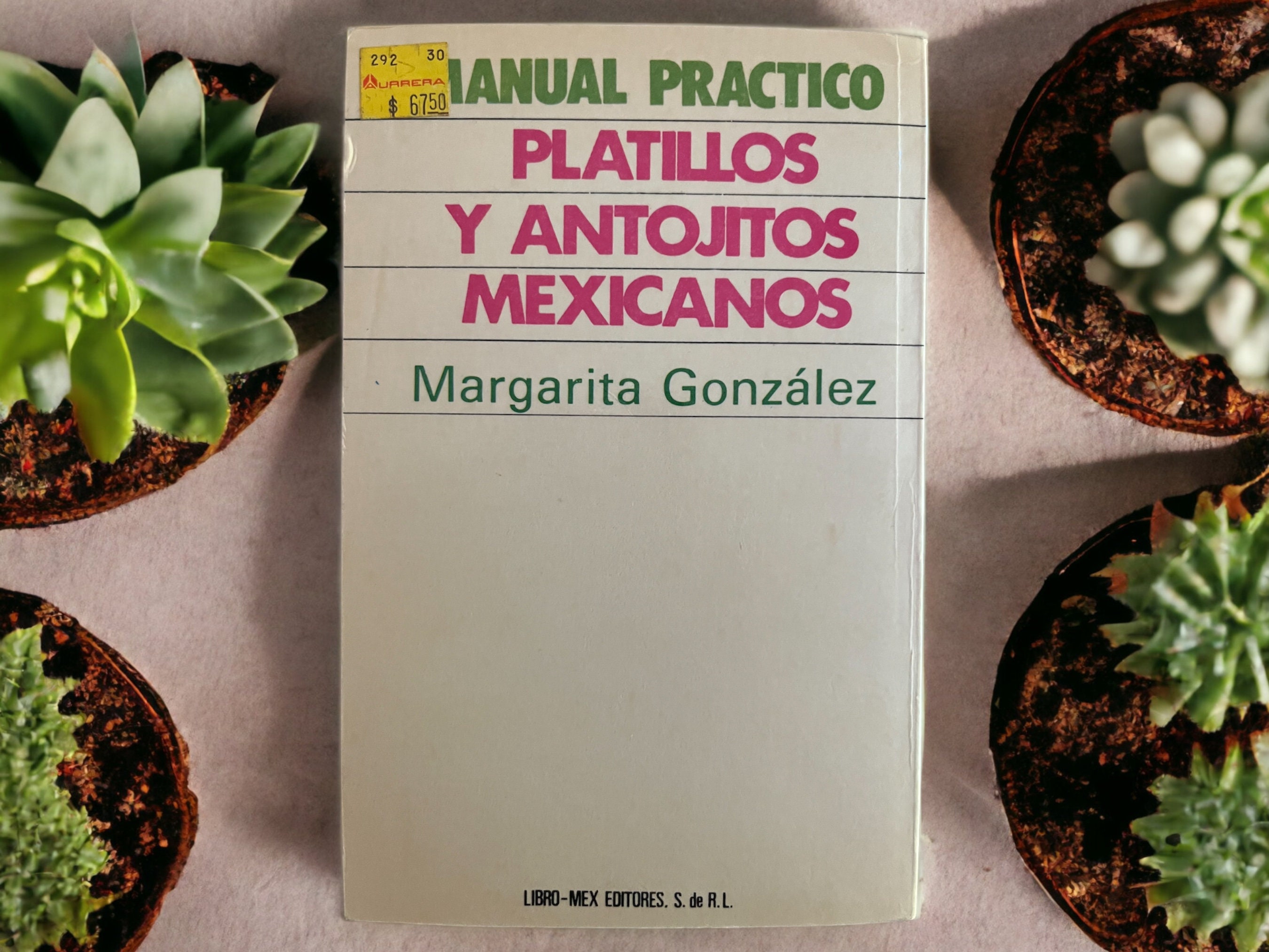 Mexican Cookbook in Spanish Platillos Y Antojitos Mexicanos Manual ...