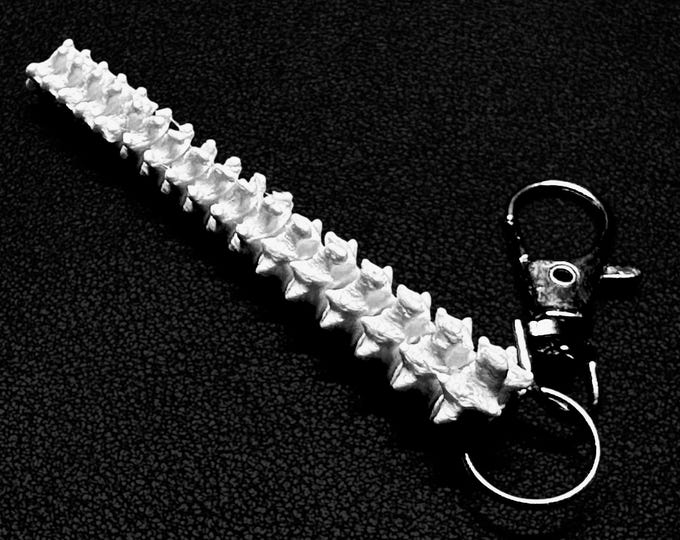 Chiropractic Gifts - Chiropractor - Chiropractic - Graduation Gift ...