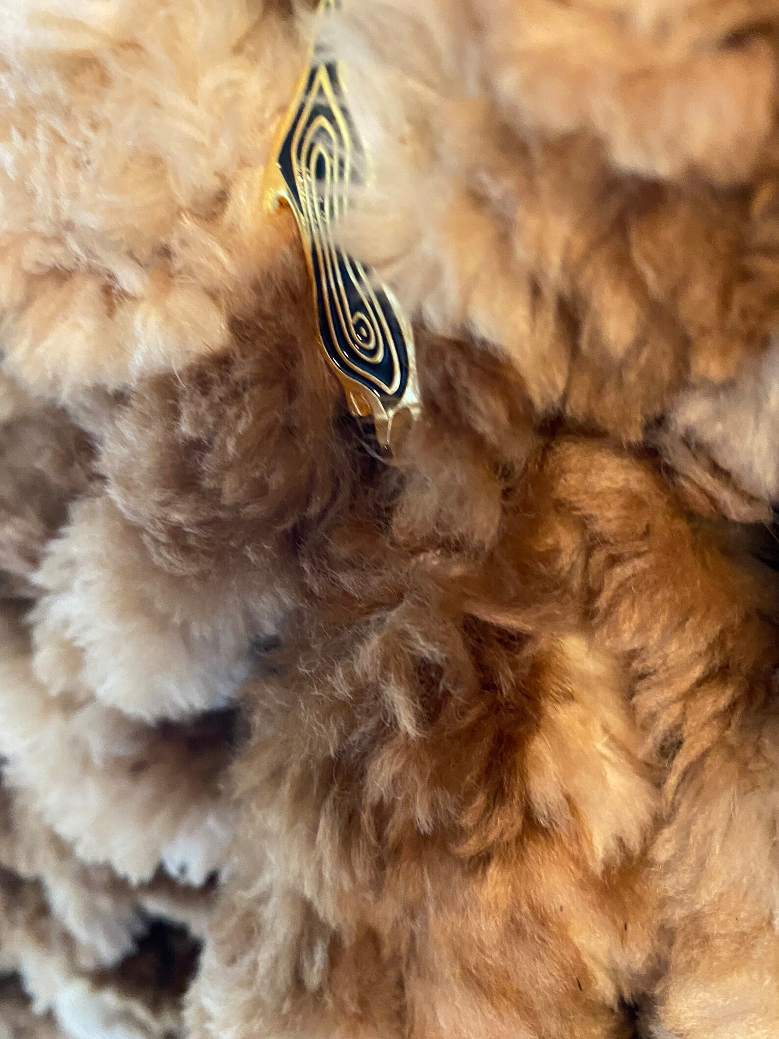 Paula Lishman's Best Selling Fur Hand Knitted Sheared Beaver Ring Shaw ...