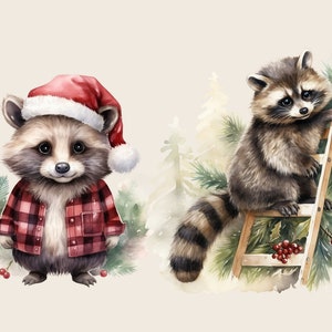 Clipart Christmas Raccoon Winter Card Scratch Book Print Sublimation ...