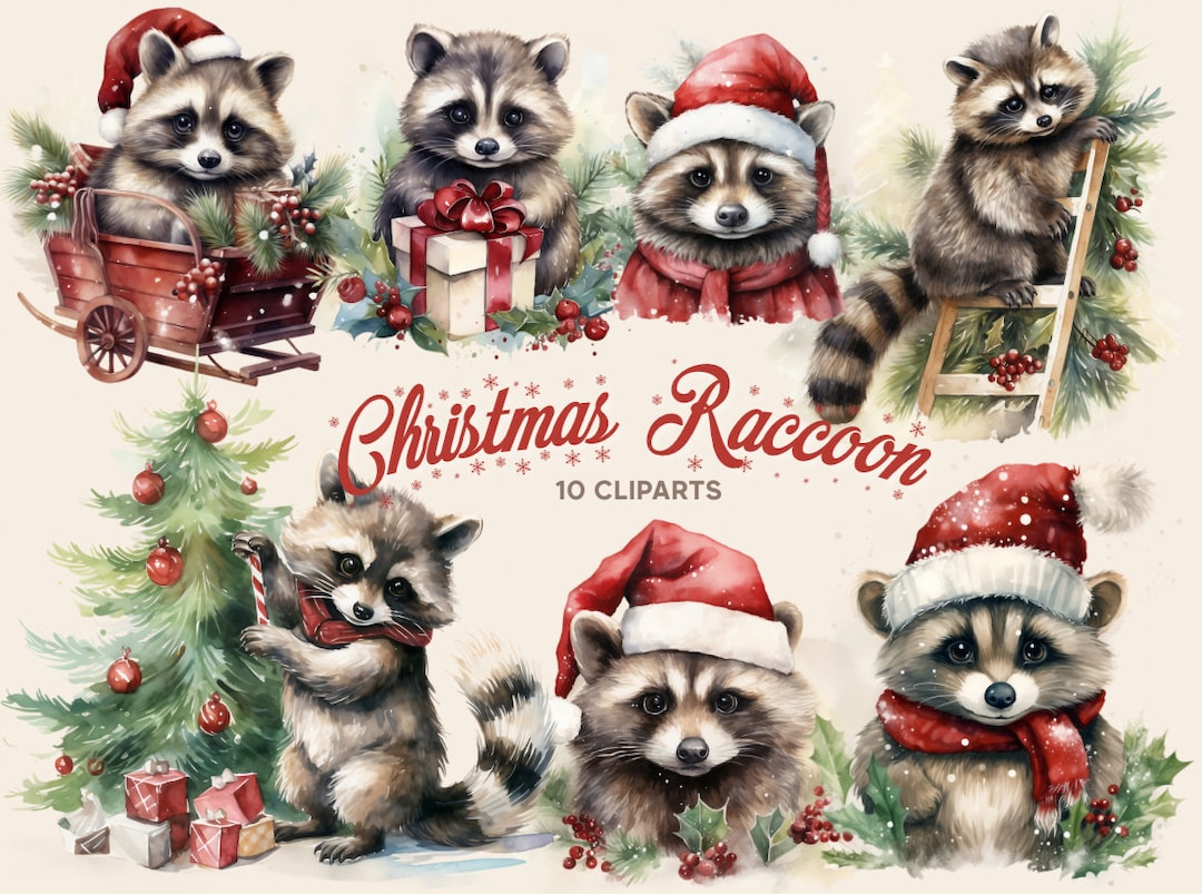 Clipart Christmas Raccoon Winter Card Scratch Book Print Sublimation ...