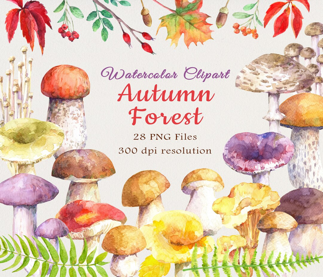 Autumn Forest Watercolor Clipart Edible Mushrooms Clipart - Etsy