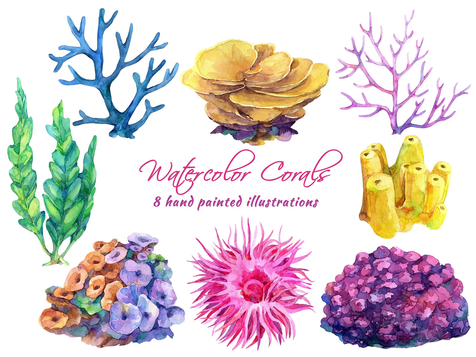 Watercolor Coral Clipart Set Sea Stone Corals Sea Anemones | Etsy