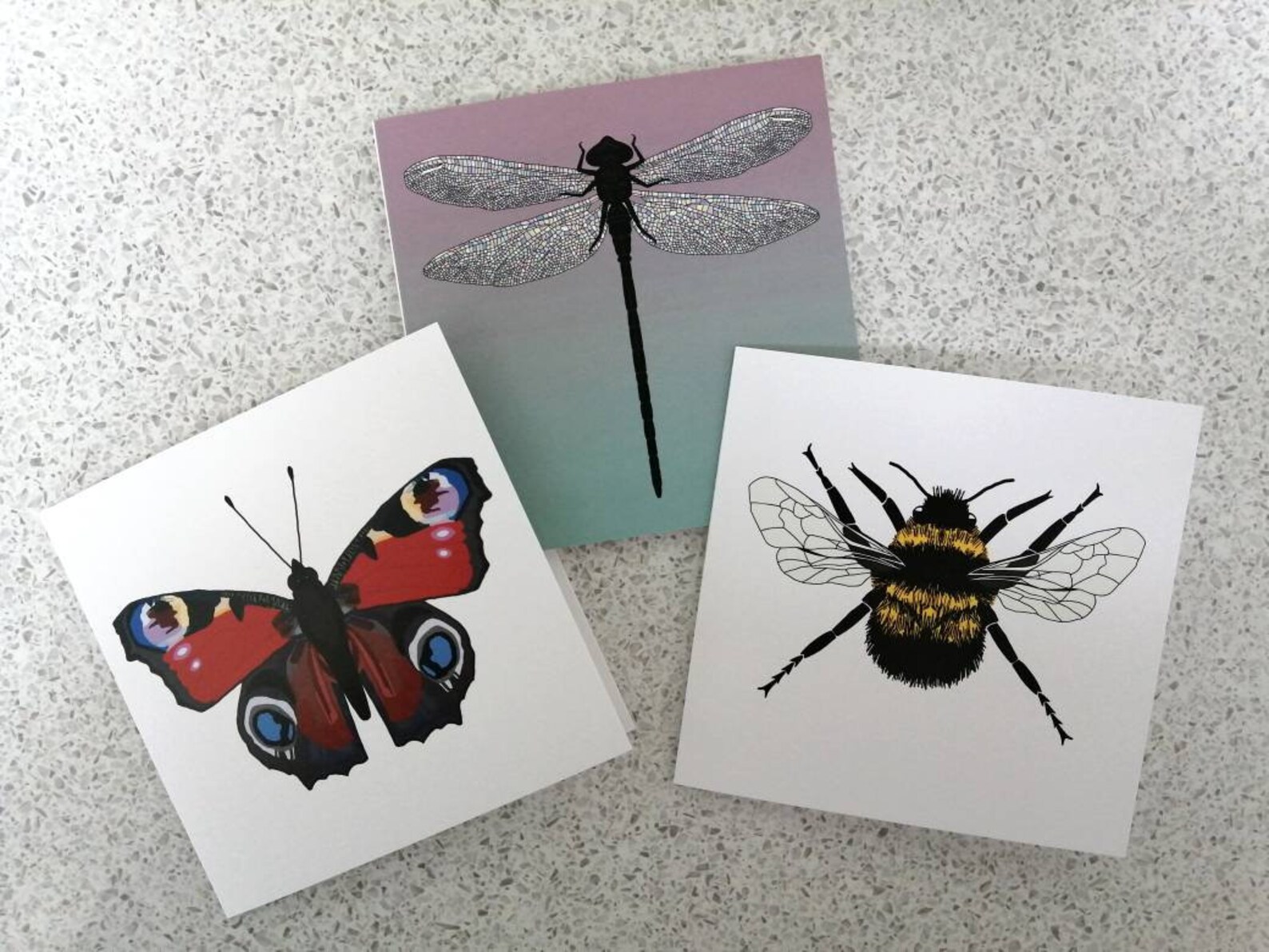 Set of 3 illustrated insect cards | Etsy