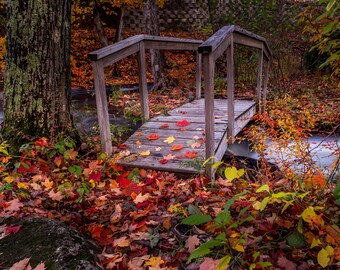 Autumn Bridge Print - Etsy
