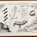 Salamander Print - Etsy