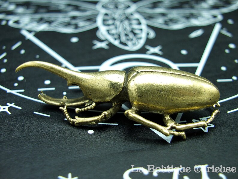 Brass Figurine of a Scarab Beetle (dynastes Hercules) - Entomology ...