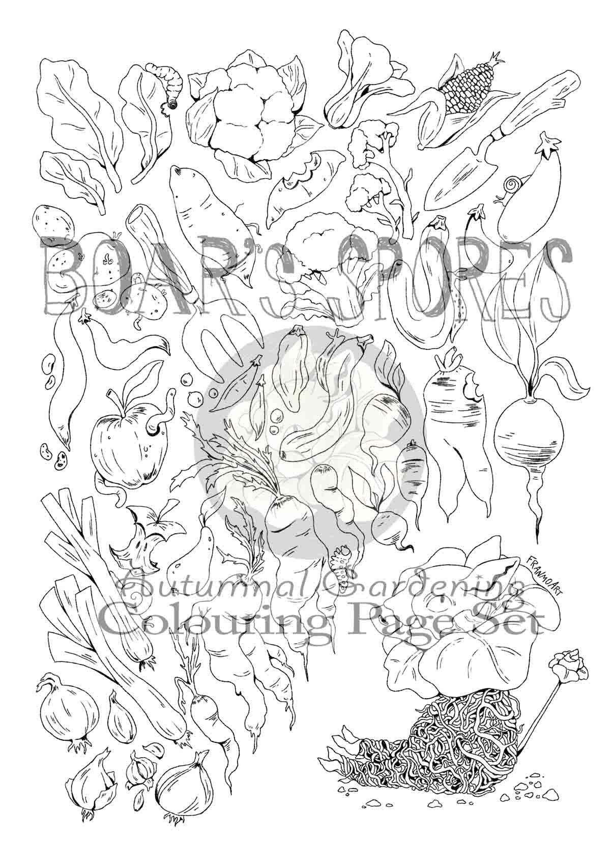 Boar's Spores Digital Download Colouring Pages - 5 Quirky Hand Drawn ...