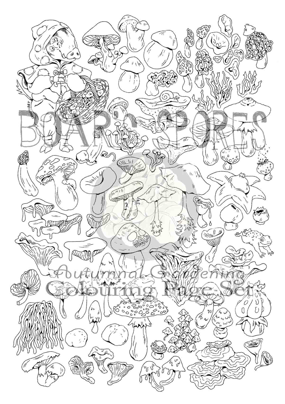 Boar's Spores Digital Download Colouring Pages 5 Quirky Hand Drawn ...