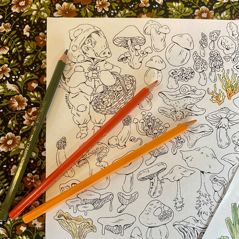 Boar's Spores Digital Download Colouring Pages - 5 Quirky Hand Drawn ...