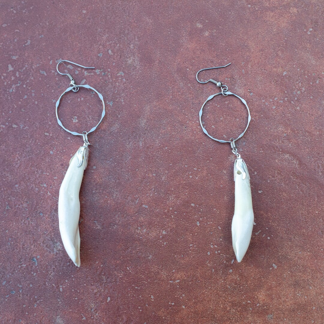 Silver Hoop Animal Teeth Earring, Bison Tooth, Real Animal Bone, Animal ...
