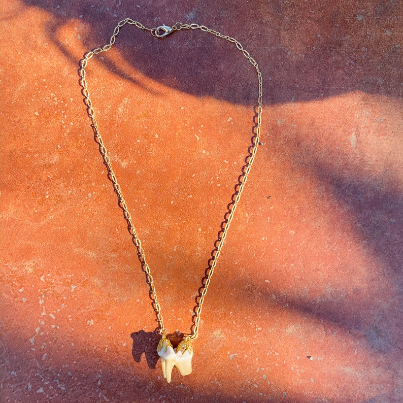 Coyote Tooth Necklace Animal Bone Jewelry Taxidermy - Etsy