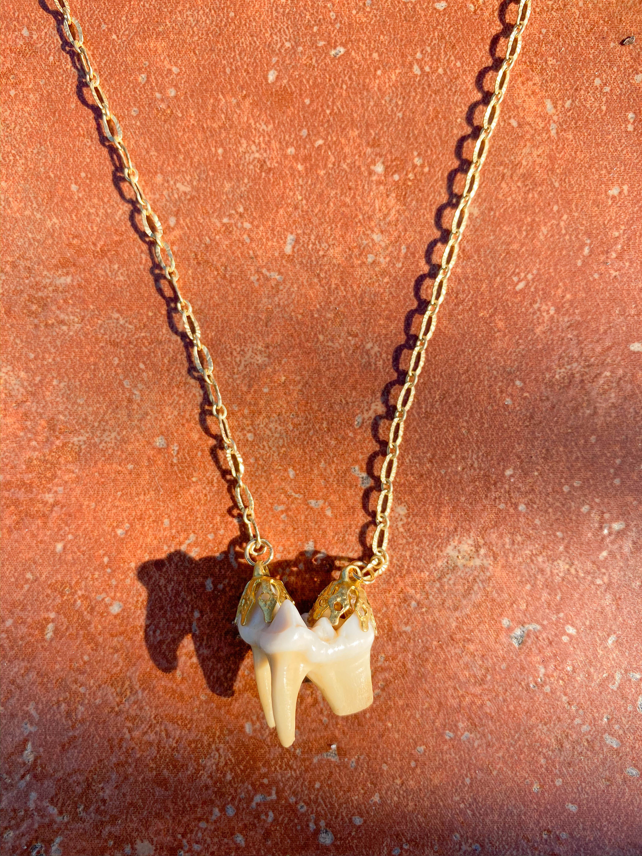 Coyote Tooth Necklace Animal Bone Jewelry Taxidermy | Etsy