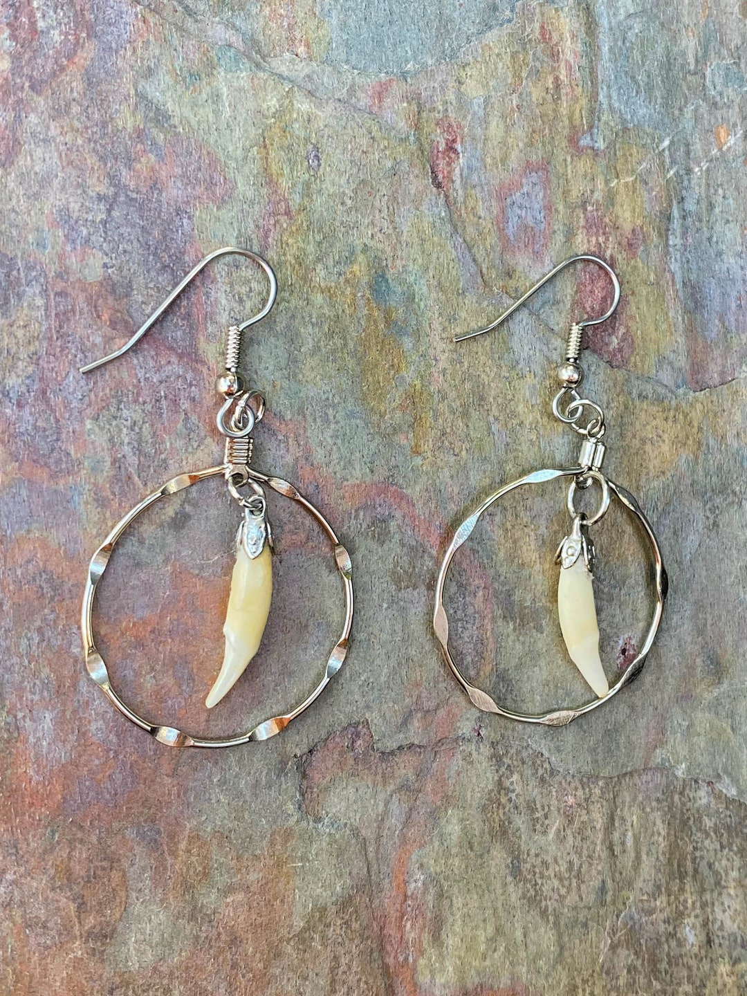Animal Tooth Earrings Animal Bone Earrings Real Animal Bone Taxidermy ...
