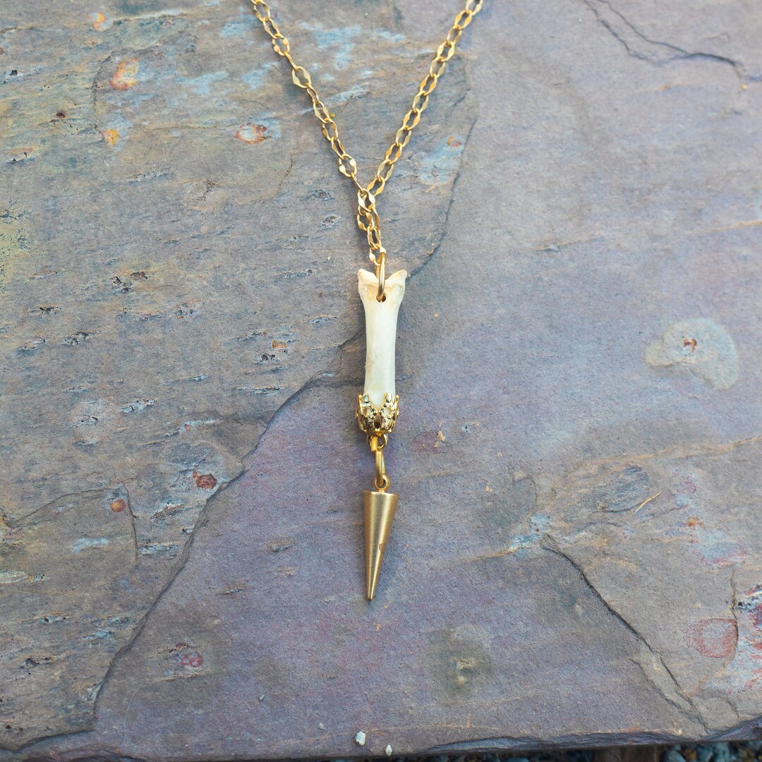 Coyote Toe Animal Bone Necklace / Real Animal Bone / Taxidermy Jewelry ...