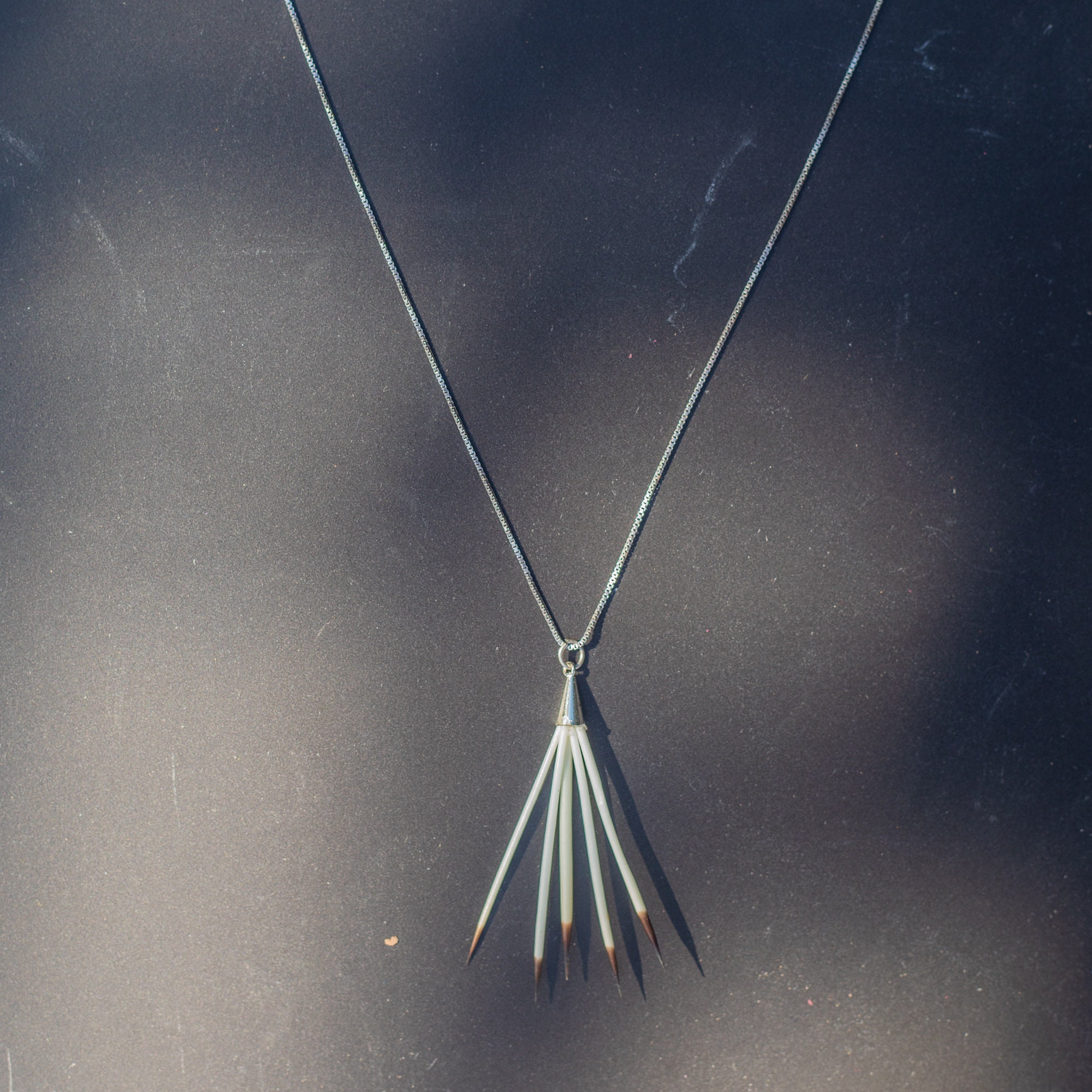 Porcupine quill Necklace / Quill jewelry / Taxidermy Jewelry / | Etsy