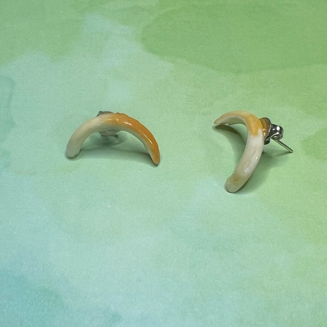 Animal Bone Earring - Animal Teeth Earrings- Minimalist Stud Earrings ...
