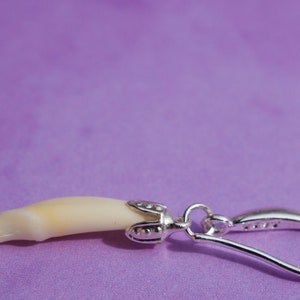 Sterling Silver Mink Fang Dangling Earrings - Animal Bone Earrings ...