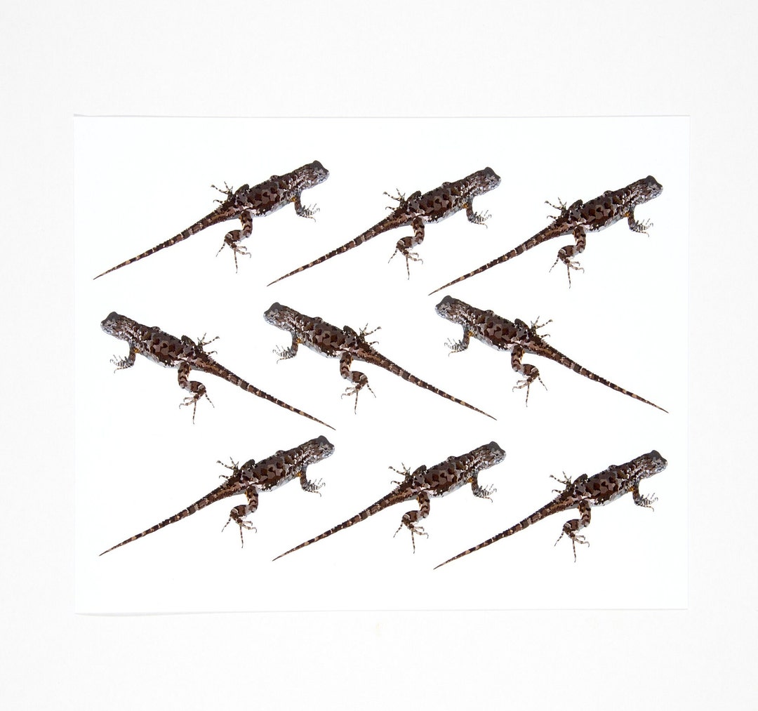 Lizard Pattern Print - Etsy