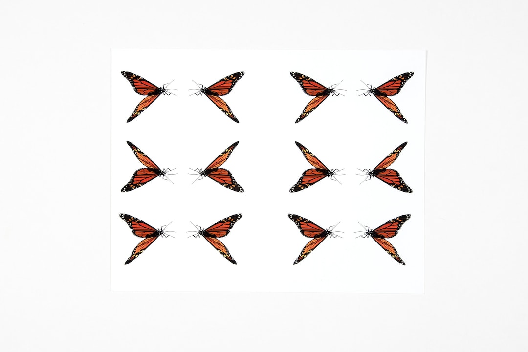 Monarch Butterfly Pattern Print - Etsy