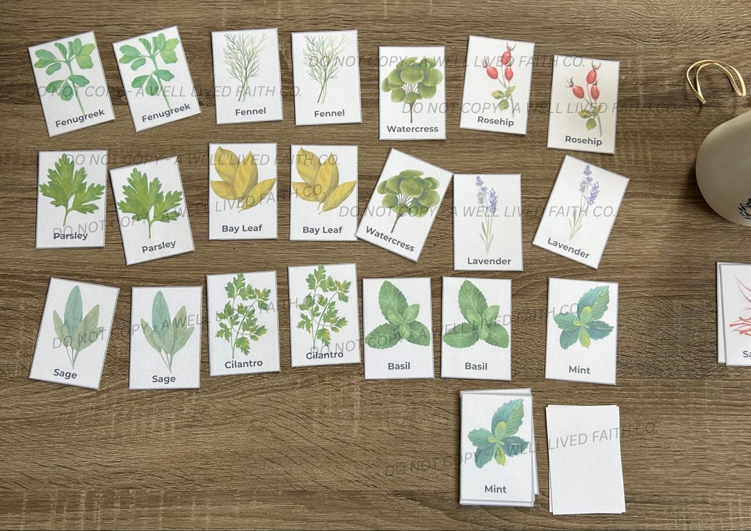 Watercolor Food Memory Match Game, Kids Learning Cards - Etsy