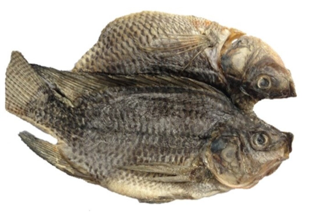 Koobi - Salted Tilapia Fish - Etsy