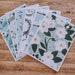Handmade Set of Rice Paper Vintage Birds Notecards With Envelopes, Love ...