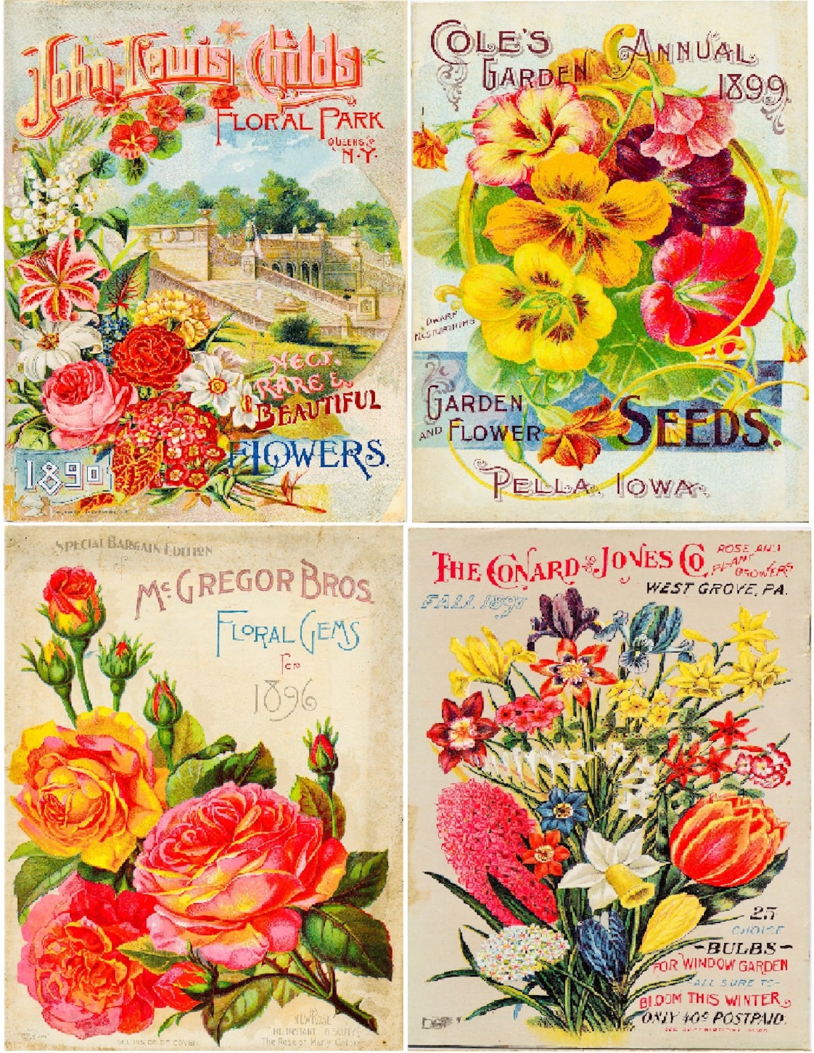 SET 1 Vintage Floral Flower Bulb and Seed Catalogue Digital | Etsy