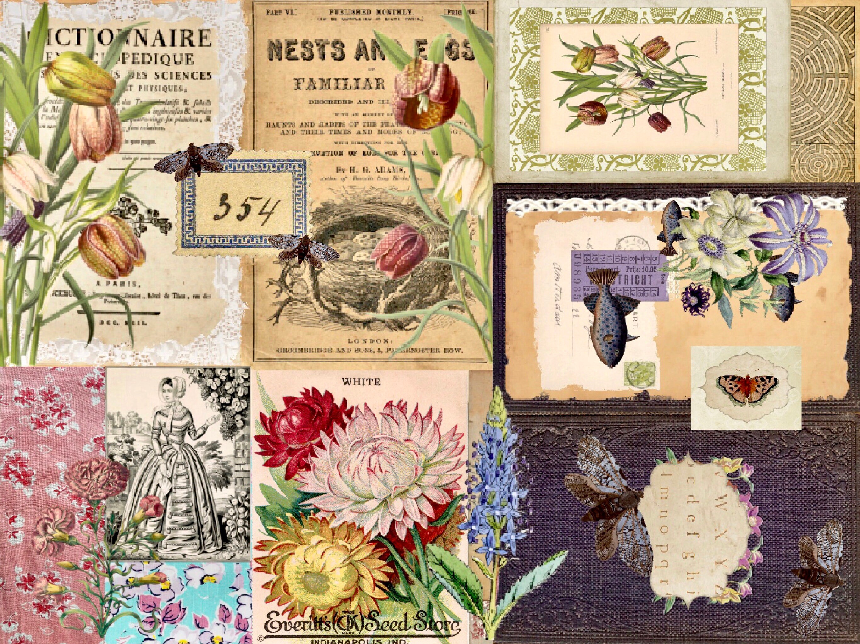 Vintage Collage Sheet Antique Lace Trim Collage Masterboard Vintage ...