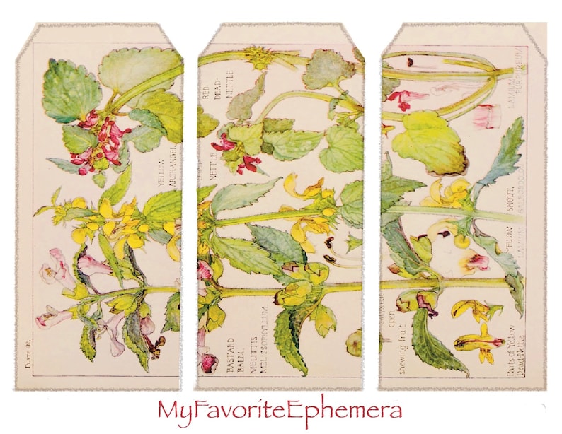 Printable JUNK JOURNAL ESSENTIALS Pockets Tags and - Etsy