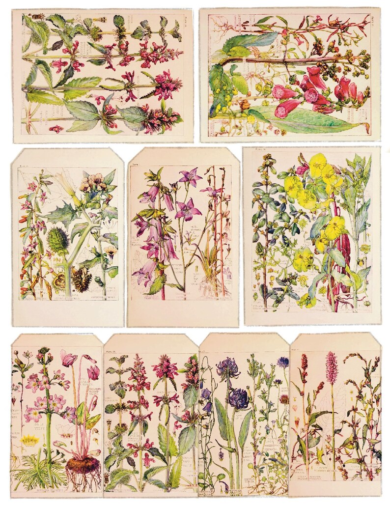 Printable JUNK JOURNAL ESSENTIALS Pockets Tags and - Etsy